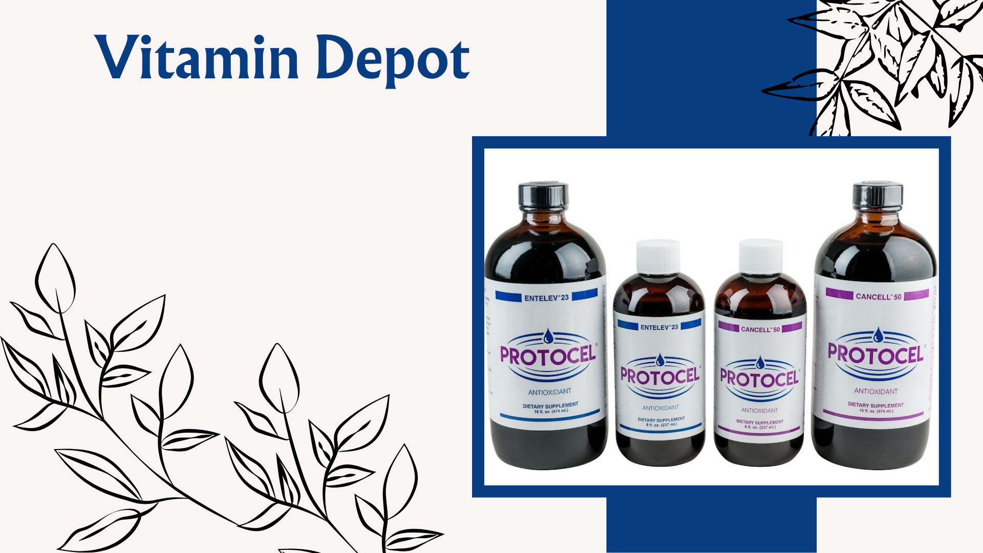 Your Vitamin Depot | Protocel Distributor | Health and Wellness Store